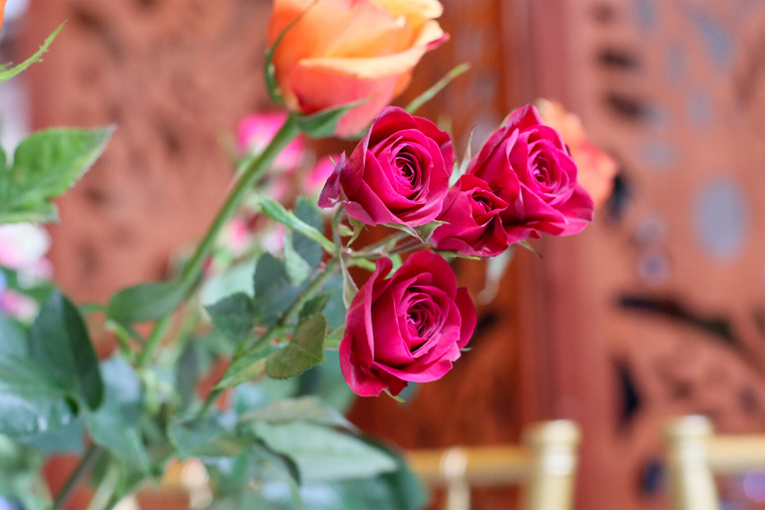 The Perfect Place Event Venue