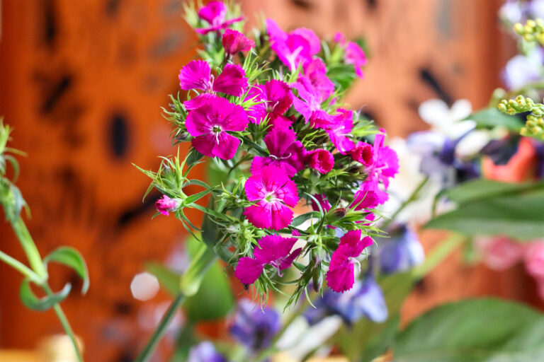 The Perfect Place Event Venue